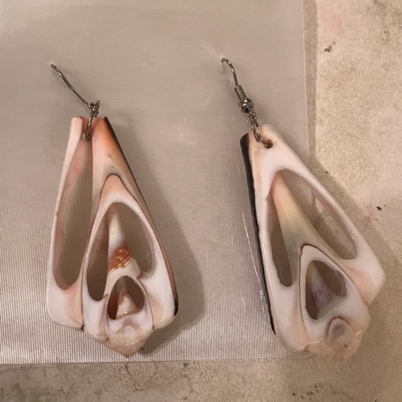 Jewelry | Rare Conch Beautiful Natural Shell Earrings | Poshmark